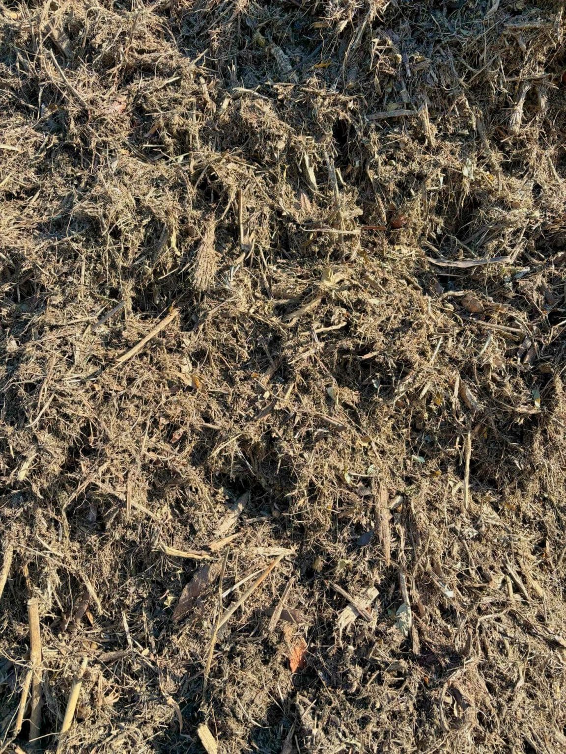 Recycled Coarse Forest Mulch | Moisture Retention | Phoenix Power Recyclers