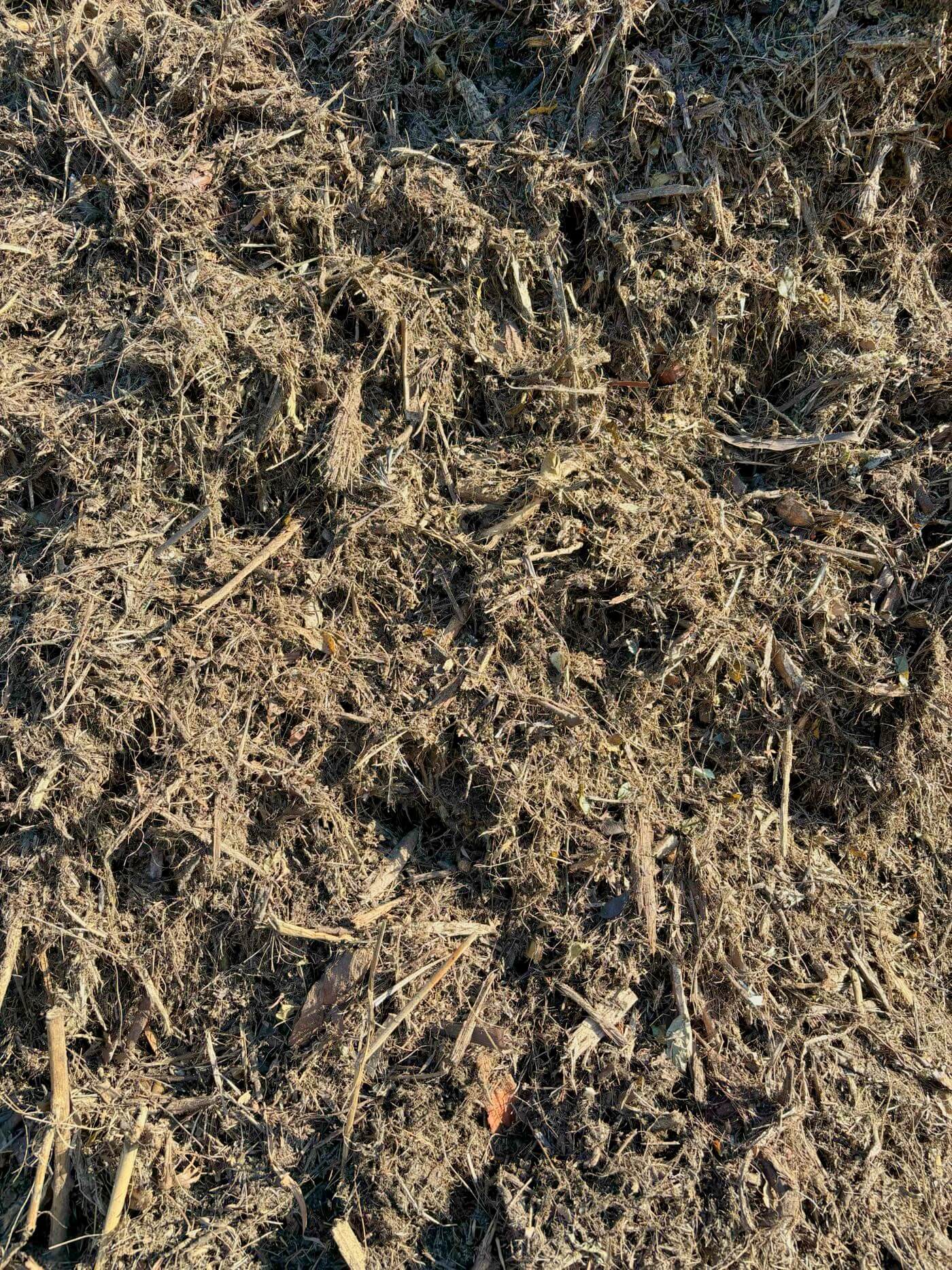 Recycled Coarse Forest Mulch | Moisture Retention | Phoenix Power Recyclers